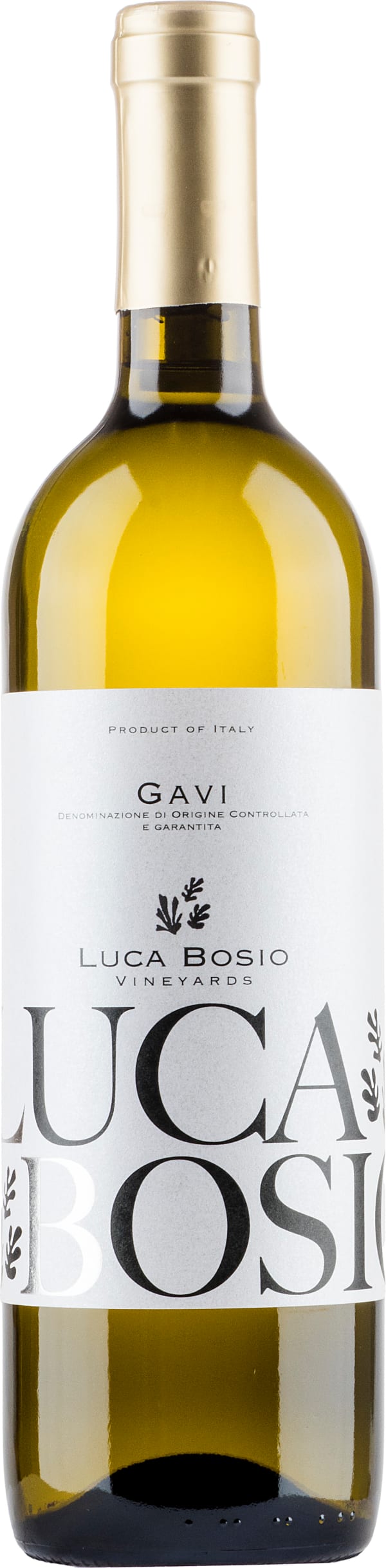 Luca Bosio Gavi 2024 | Alko