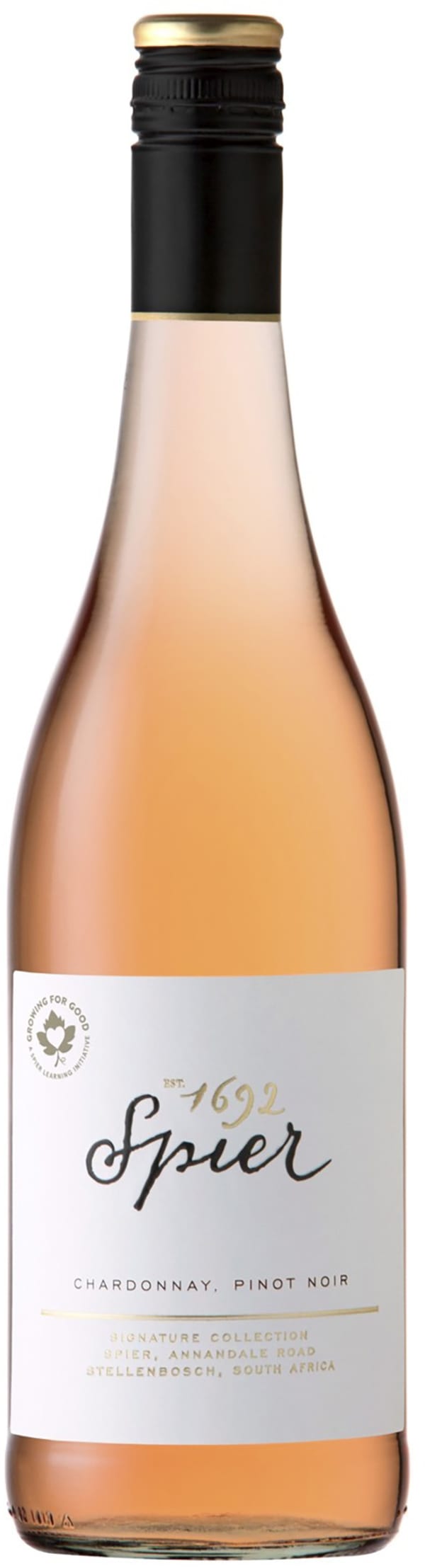 Spier Signature Chardonnay Pinot Noir Rosé 2021 | Alko