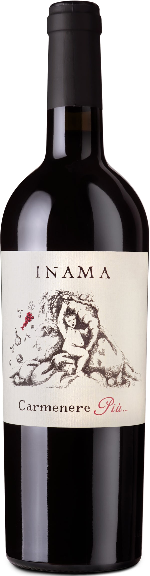Inama Carmenere Più 2020 | Alko